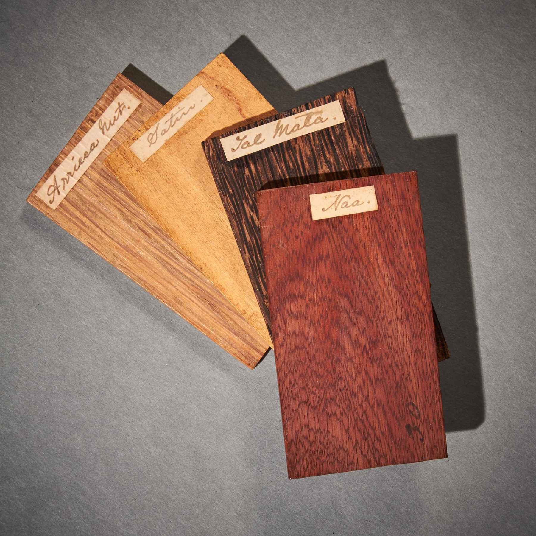 A Rare 19th century West Indian Satinwood Specimen Wood Box With Titled Specimen Samples ...