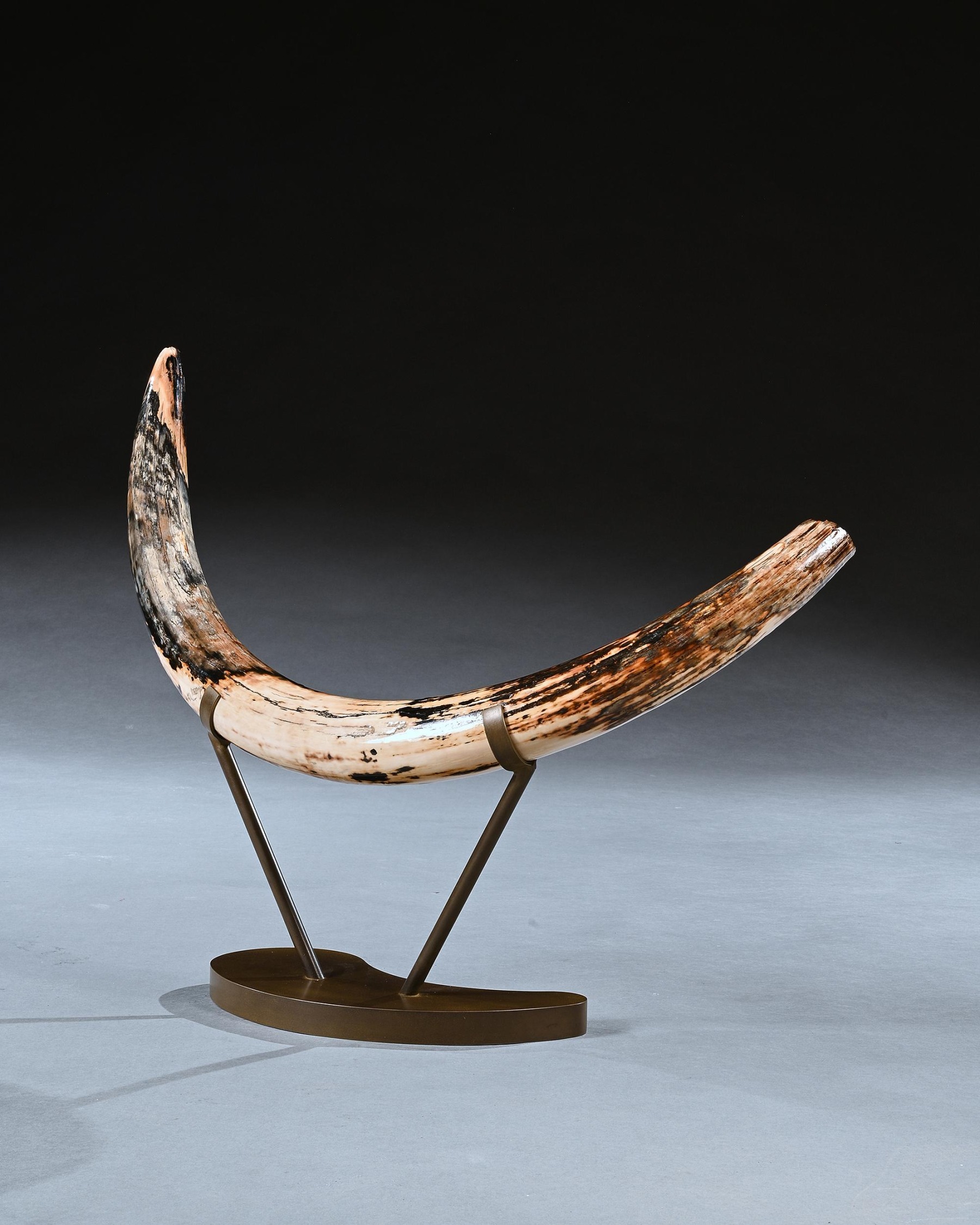 Superb Mammoth Tusk On Custom Bronzed Base